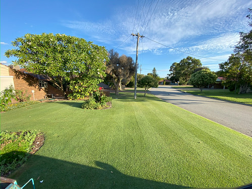 Photo Gallery - Crafted Gardens and Landscaping